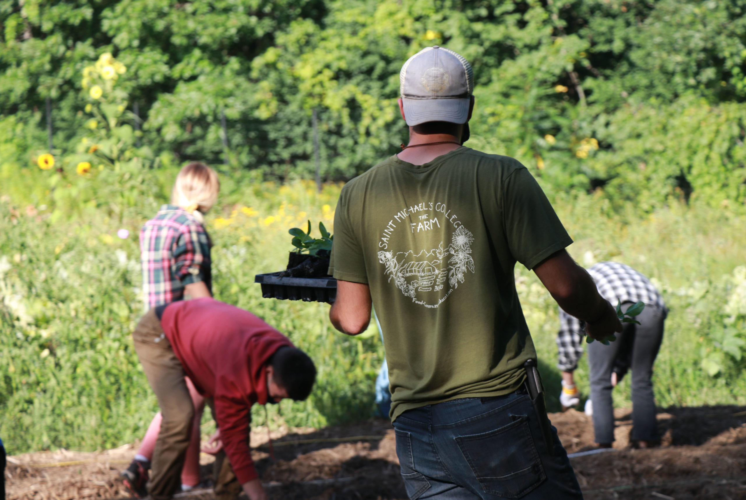 Photo Gallery: Student volunteers visit the Farm | Saint Michael's College
