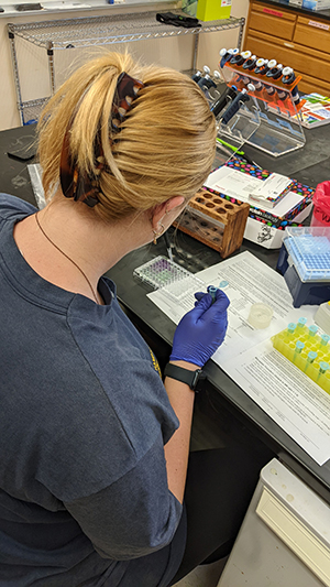 Student summer research trio strives to advance diabetes therapy in ...