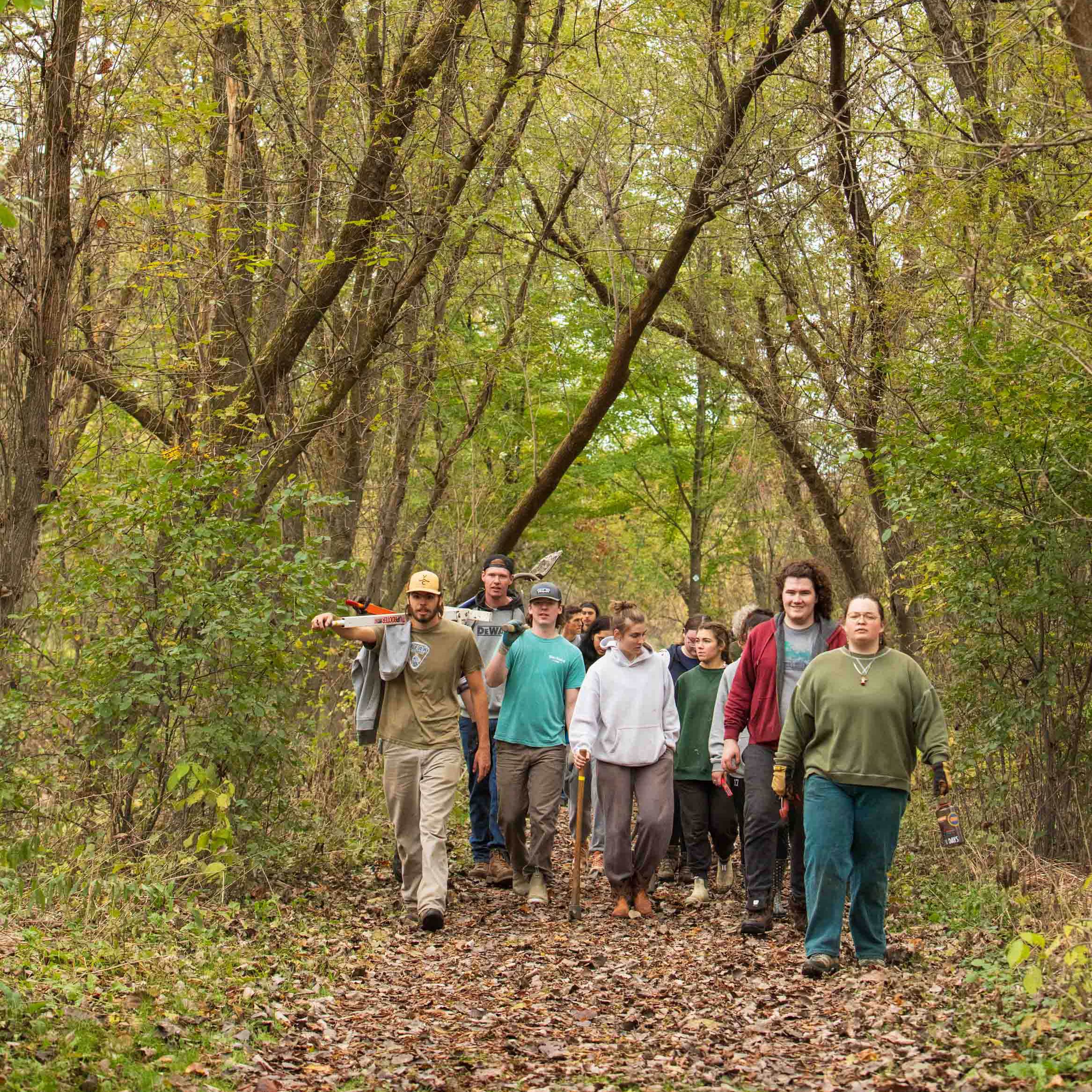 Environmental Science students remove invasive species to get to the ...