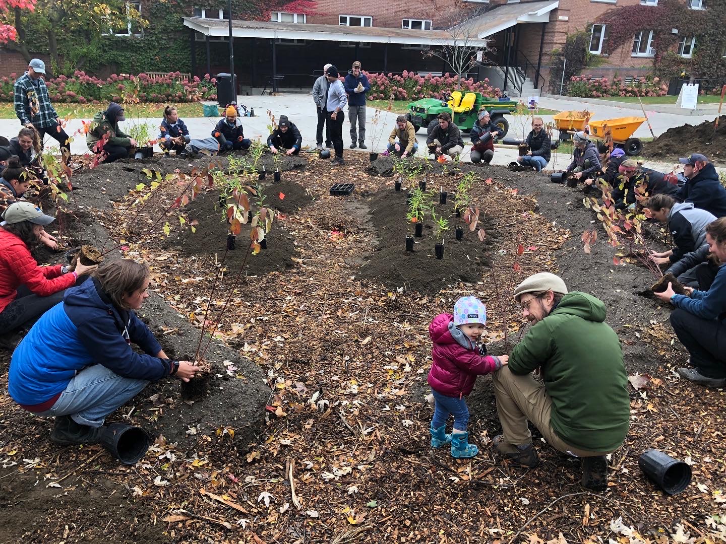 Ecological Restoration | Saint Michael's College