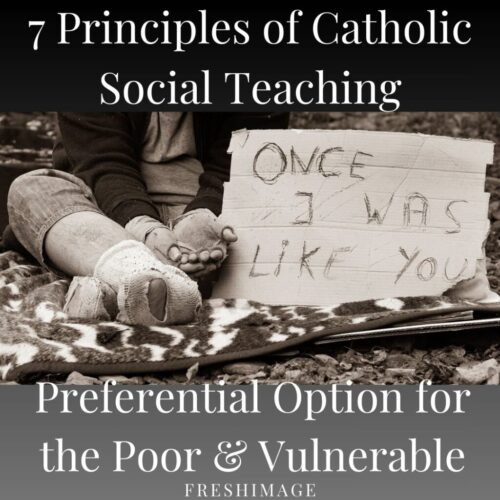 Principle Four: The Option for the Poor and Vulnerable | Saint Michael ...