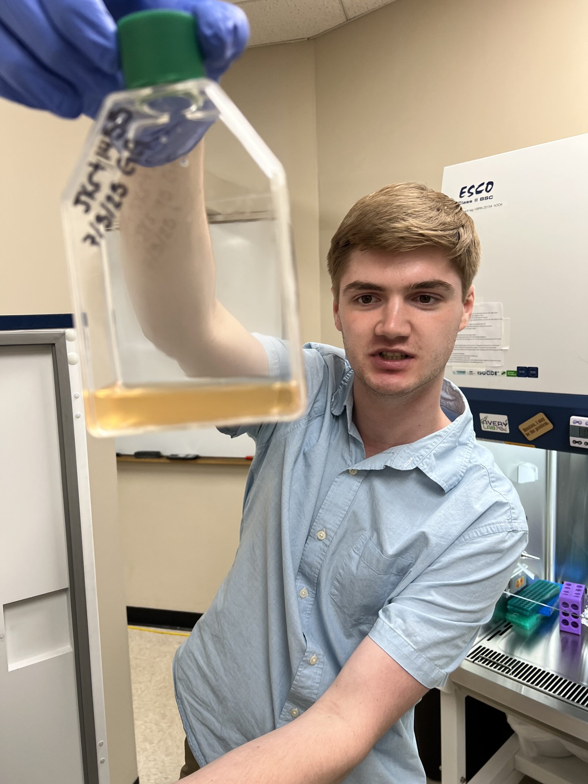 St. Mike’s students’ summer research offers hope to those with rare ...