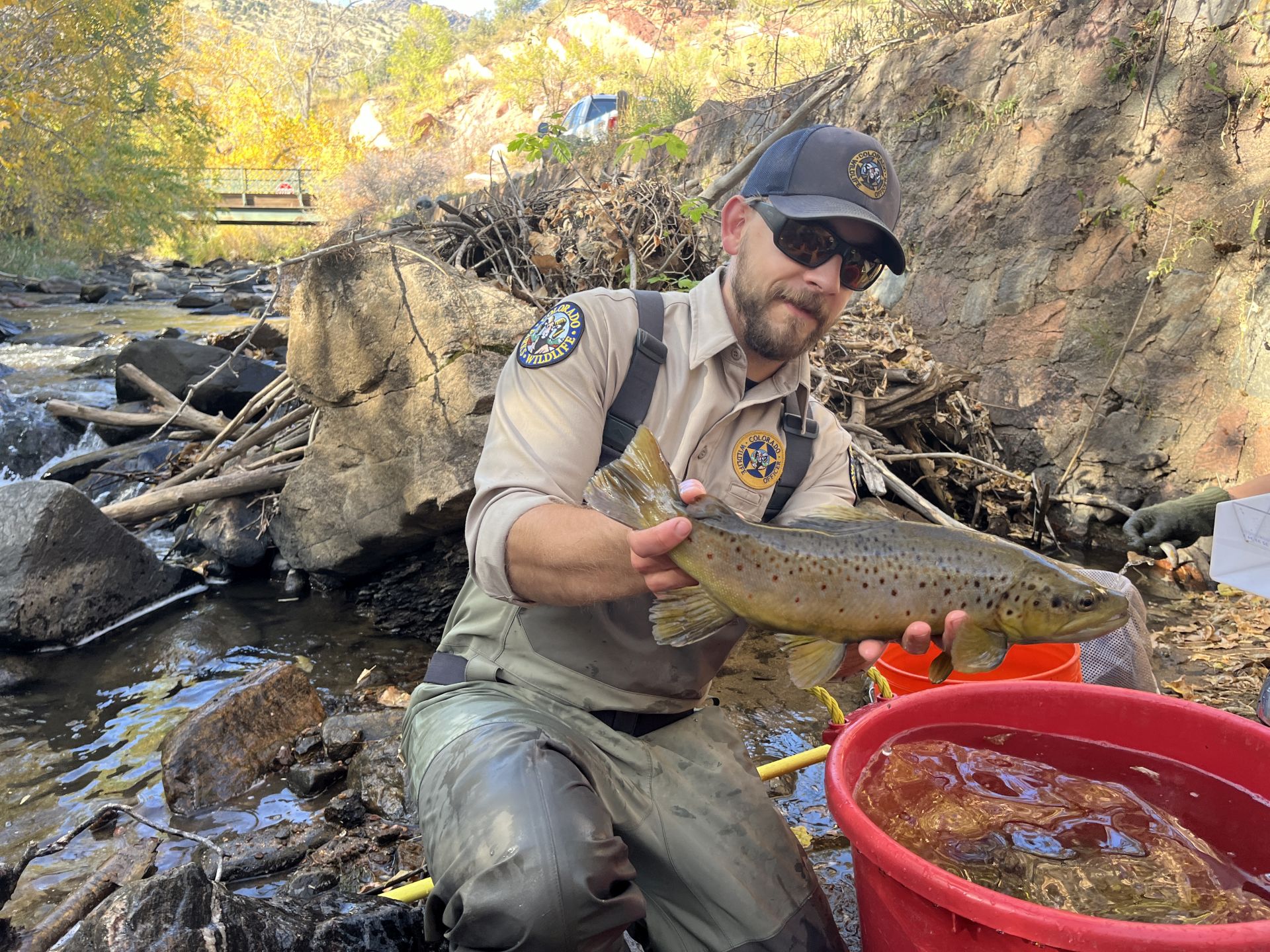 ‘Biologist with a badge’: St. Mike’s alum’s passion for the outdoors ...