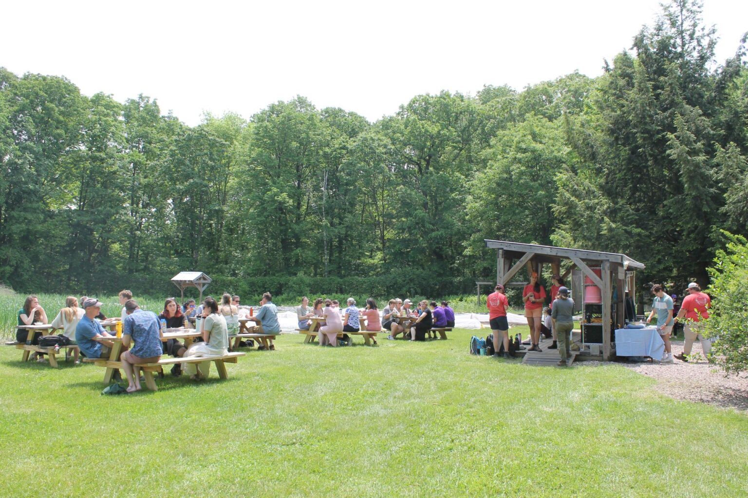 Salad Day on the Farm at SMC | Saint Michael's College