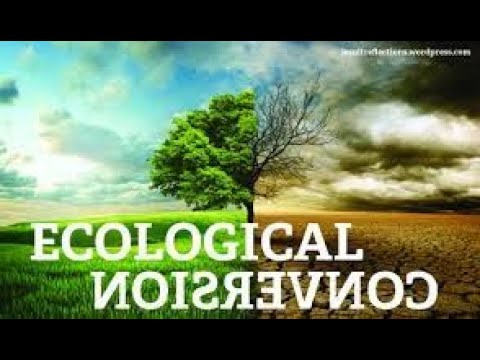 Our Common Home: Pope Francis and the Urgent Call of Laudato Si ...