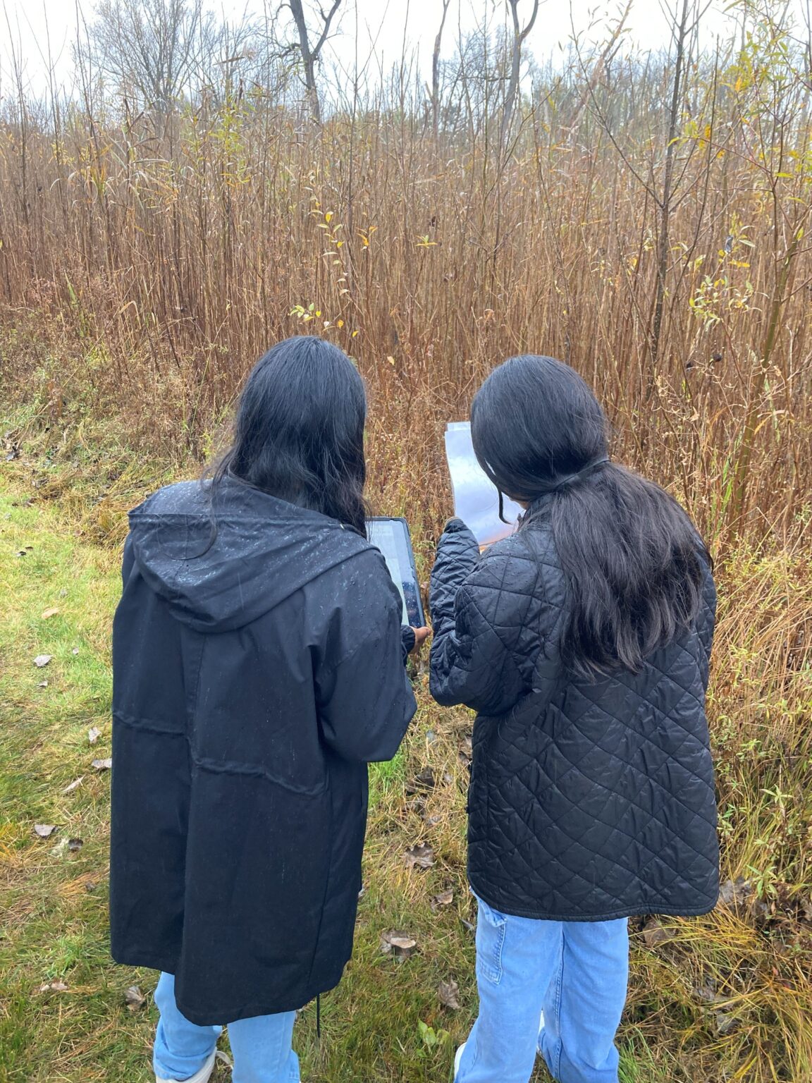 Birding with EMS | Saint Michael's College